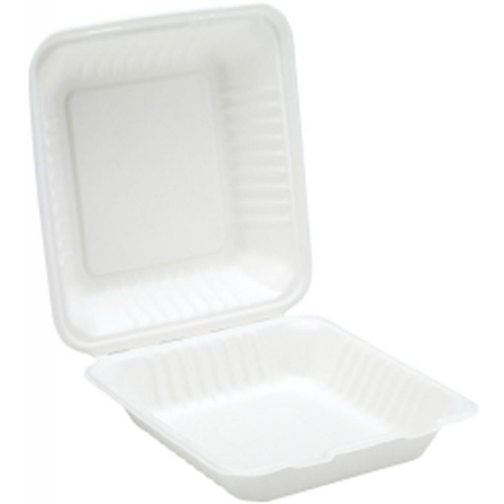 Compostable - Bagasse Containers Boxes | Thali Outlet