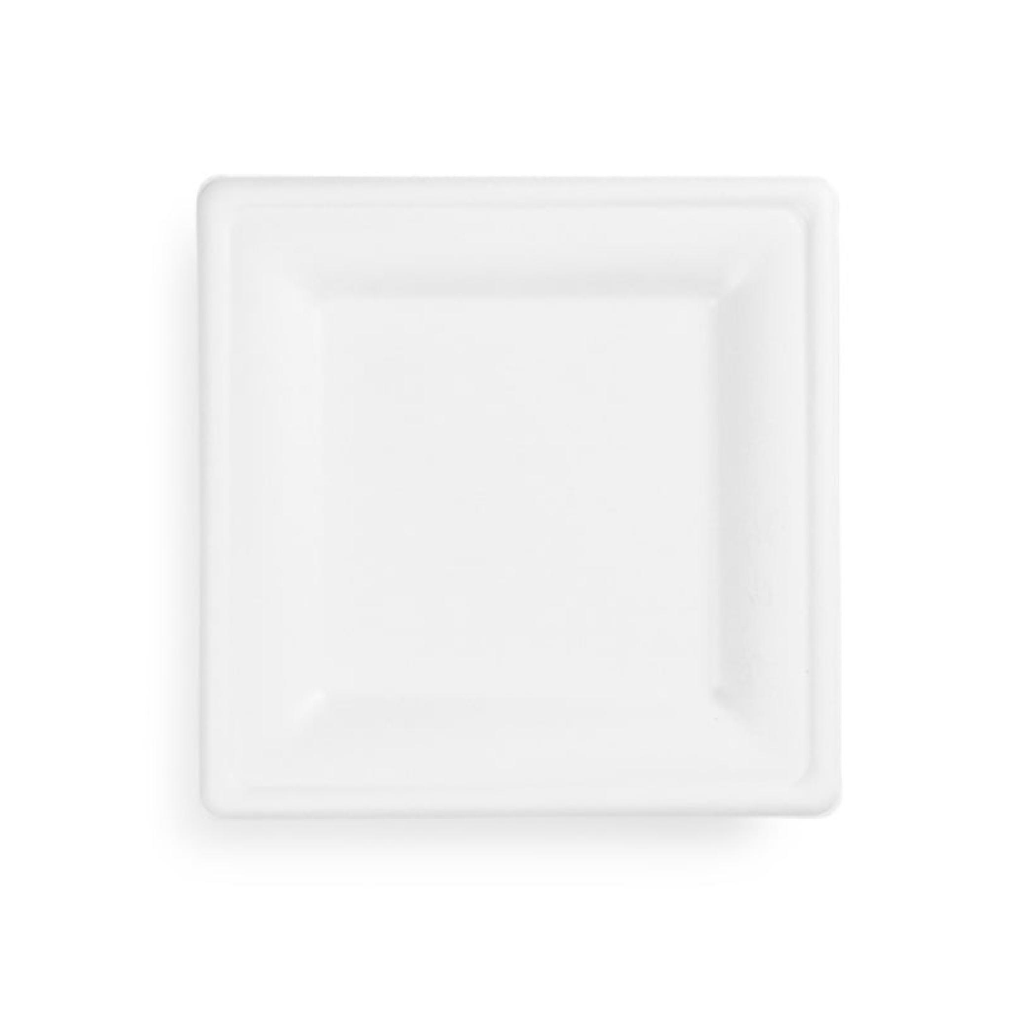 Square 10" Bagasse Compostable Plates | Thali Outlet